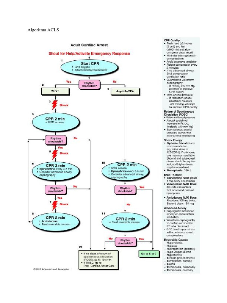 Algoritma ACLS, RJPO | PDF | Pengembangan Diri | Kesehatan Holistik