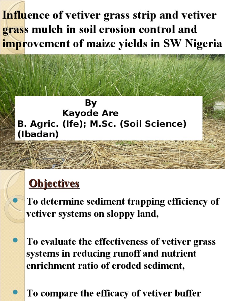 Influence of Vetiver Grass System on Slope Stabilization POWER POINT by Are | Erosion | Surface ...