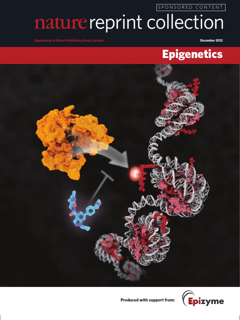 Nature Publishing Group - Epigenetics Collection | PDF | Histone ...