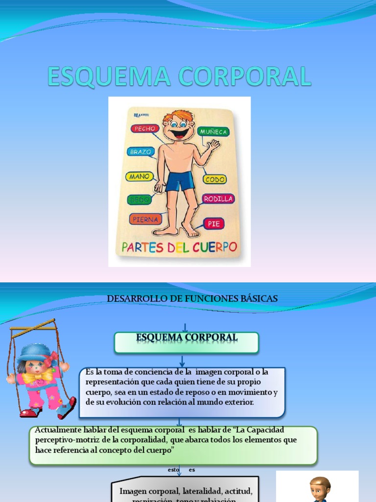 Esquema Corporal | Percepción | Percepción visual