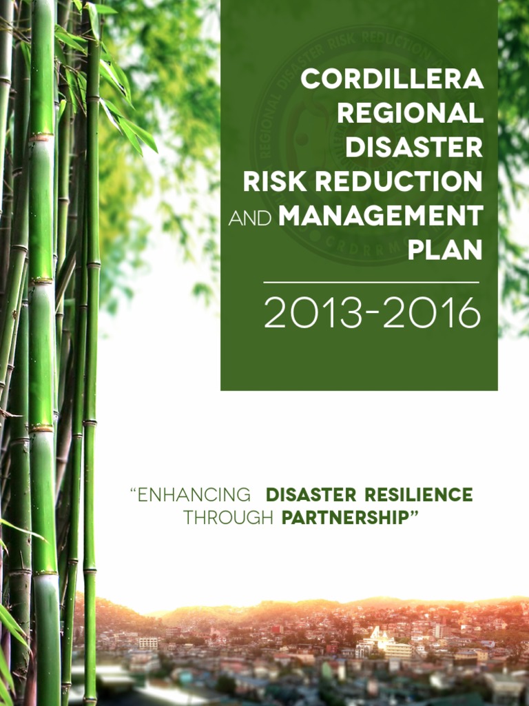 Sample Regional Disaster Risk Reduction and Managment Plan | PDF ...