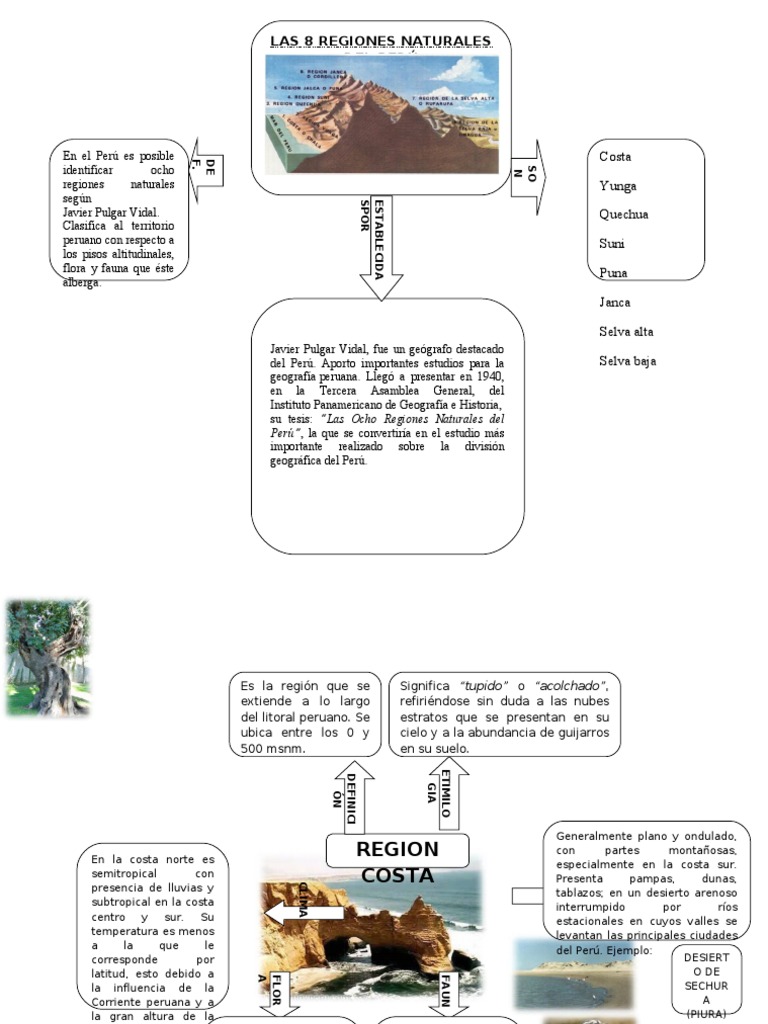 8 REGIONES NATURALES | Perú | Ciencias de la tierra y de la vida