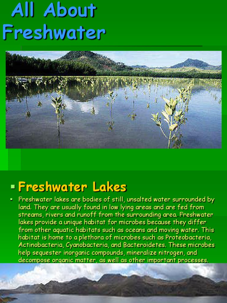 All About Freshwater | PDF | Lake | Aquatic Ecosystem