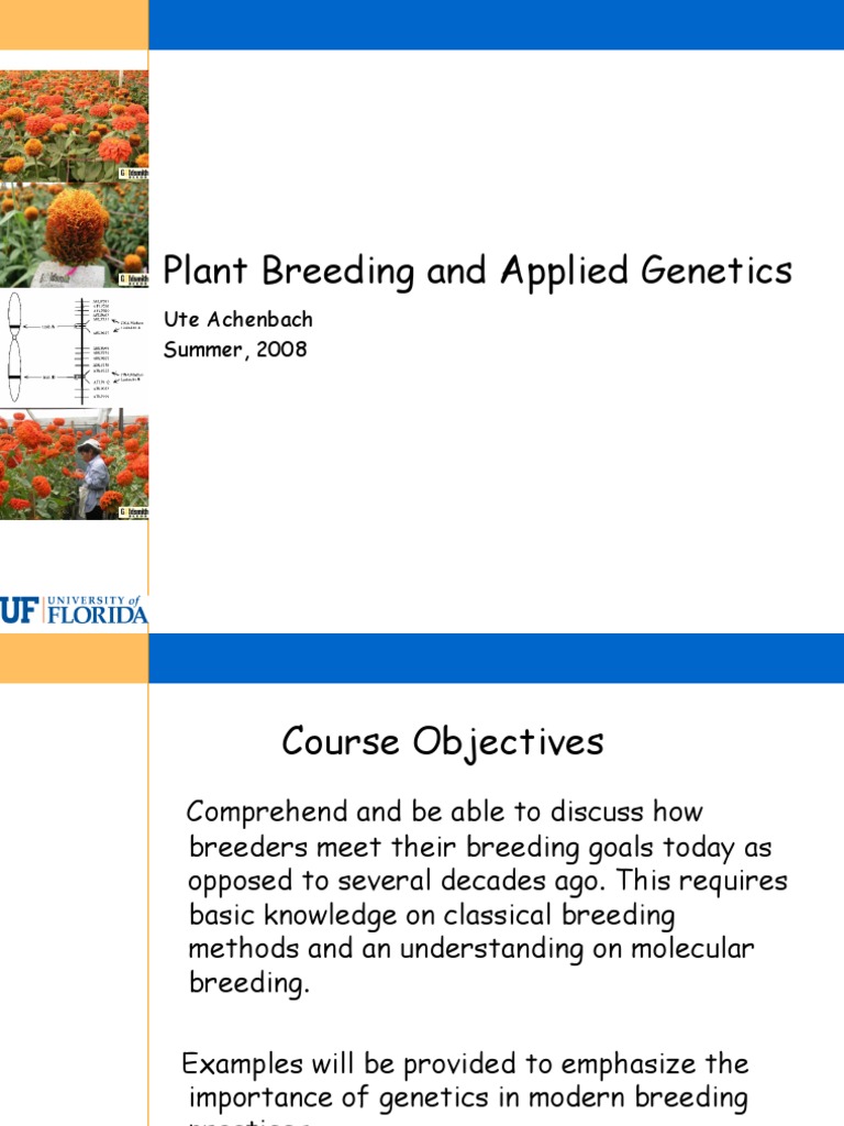 Modern Plant Breeding Techniques | PDF | Plant Breeding | Genetics