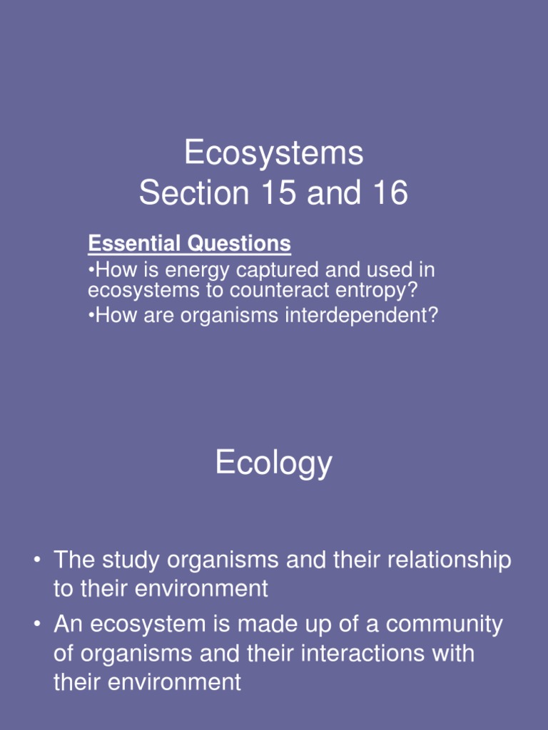 Ecosystems Section 15 and 16: Essential Questions | PDF | Food Web ...
