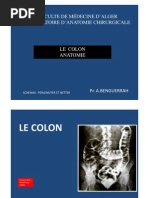 Anatomie chirurgicale du colon humain | PDF | Gros intestin | Anatomie