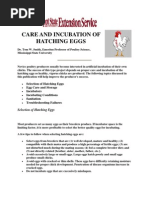 Egg Incubator User Manual PDF | PDF