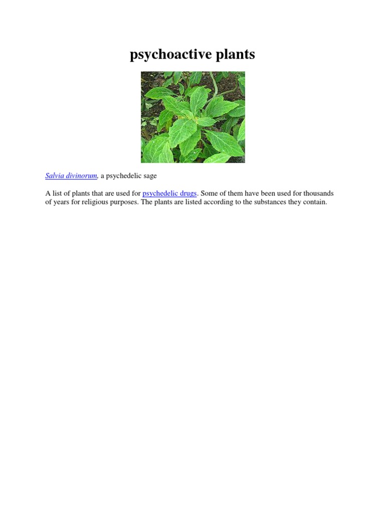 Psychoactive Plants | Cannabis (Drug) | Psychedelic Drugs