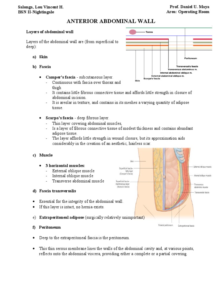 Layers of Abdominal Wall
