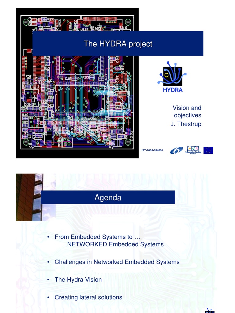 Hydra Vision | Download Free PDF | Embedded System | Internet