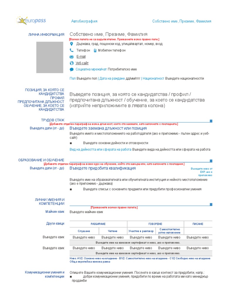 CV Template | PDF