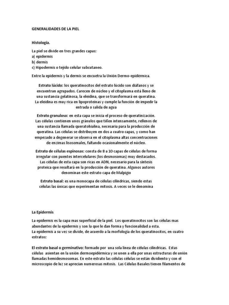 Generalidades de La Piel | PDF | Piel | Epidermis