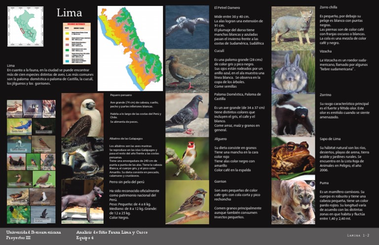 Fauna Lima | PDF | Aves | Lima