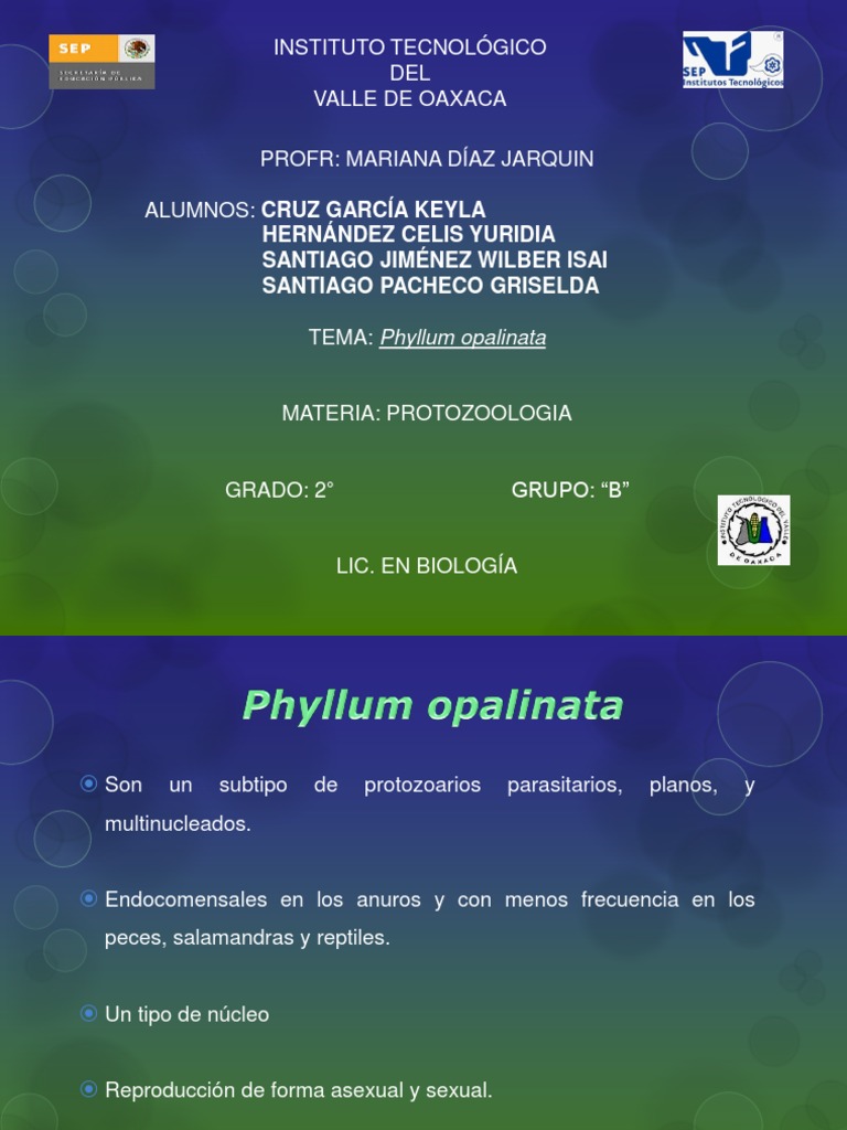 Características de Phyllum Opalinata | PDF | Protozoos | Biología Celular)