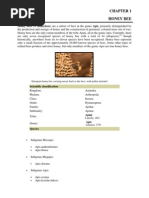 Apiculture, Lac Culture and Sericulture: Module - 6B | PDF | Honey Bee | Beekeeping