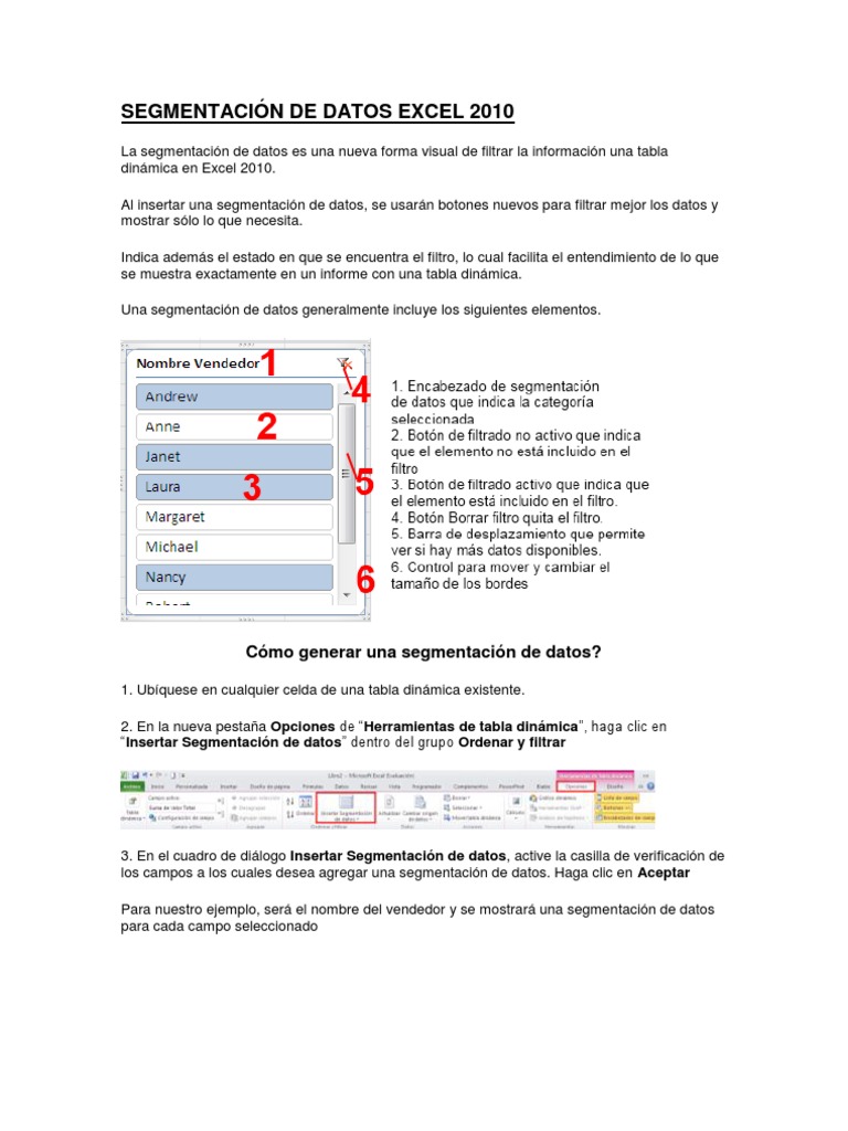 Segmentación de Datos Excel 2010 | PDF
