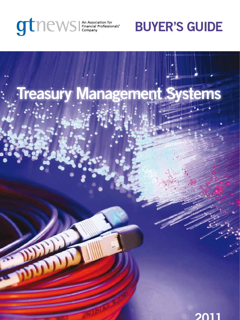 A Buyers Guide To Treasury Management Systems 2011 | PDF | Risk ...