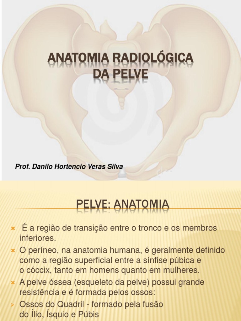 Anatomia Radiologica Da Pelve | PDF | Pélvis | Anatomia humana