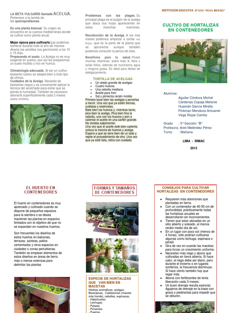 Triptico Cultivando Hortalizas en Contenedores | PDF | Huevo como ...