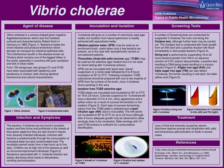 Vibrio Cholerae Poster | PDF | Cholera | Growth Medium