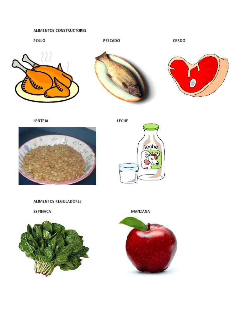 ALIMENTOS CONSTRUCTORES