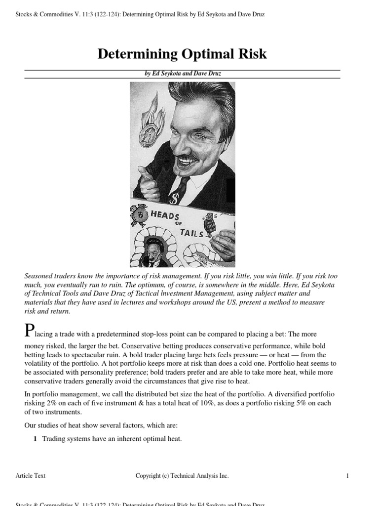 Determining Optimal Risk | PDF | Finance & Money Management | Computers