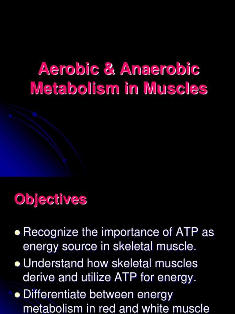 Aerobic & Anaerobic Metabolism in Muscles