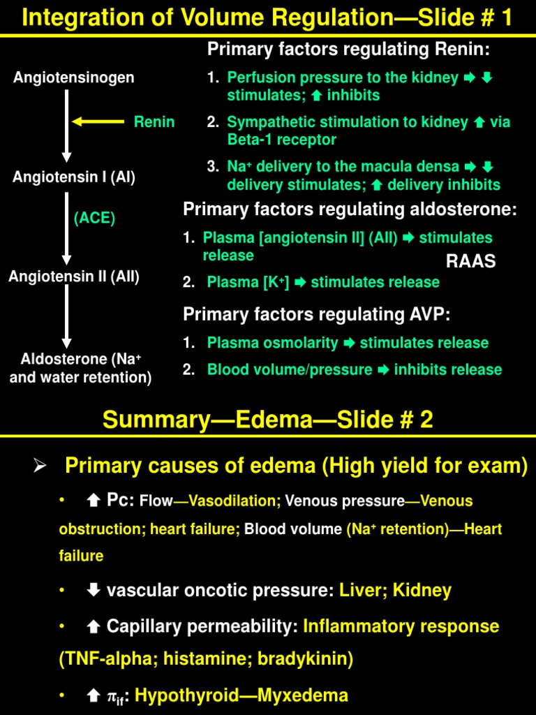 Physiology Slides Usmle | PDF | Atrium (Heart) | Angiotensin