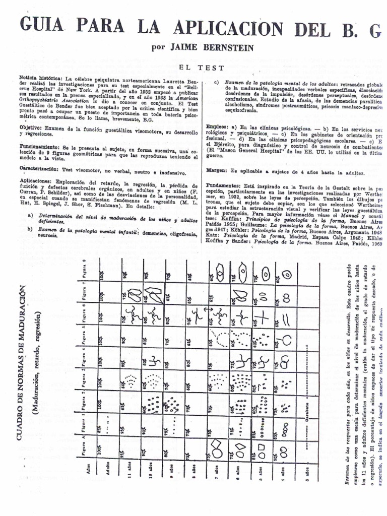 Guia para La Aplicacion Del B.G Por Jaime Bernstein | PDF