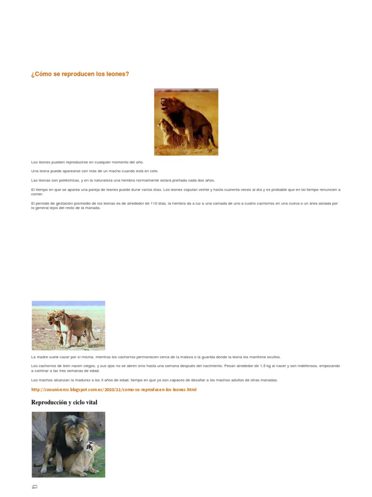 Reproducción y Ciclo de Vida del León | PDF | León | Organismos