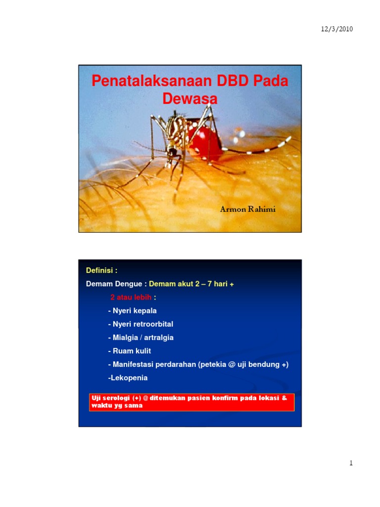 Penatalaksanaan DBD Pada Dewasa | PDF