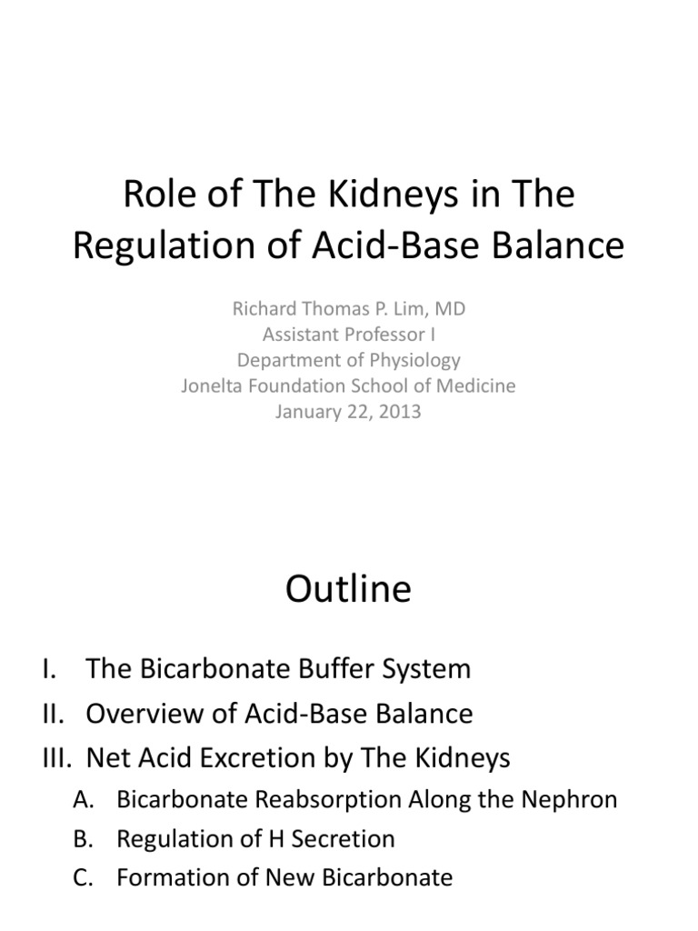 Role of Kidneys in The Regulation of Acid-Base Balance | PDF | Kidney ...