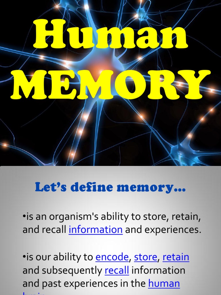 Human Memory | Download Free PDF | Memory | Recall (Memory)