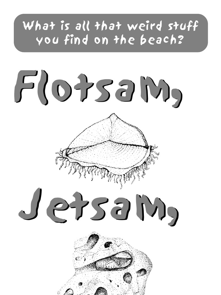 Flotsam and Jetsam Guide | PDF | Beach | Coral Reef