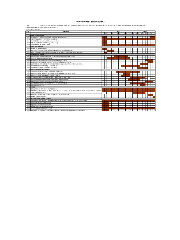 Cronogramas + Presupuestos Analiticos | PDF