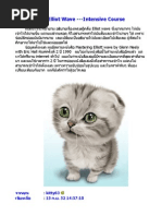 Non-Standard Small X-Wave | PDF