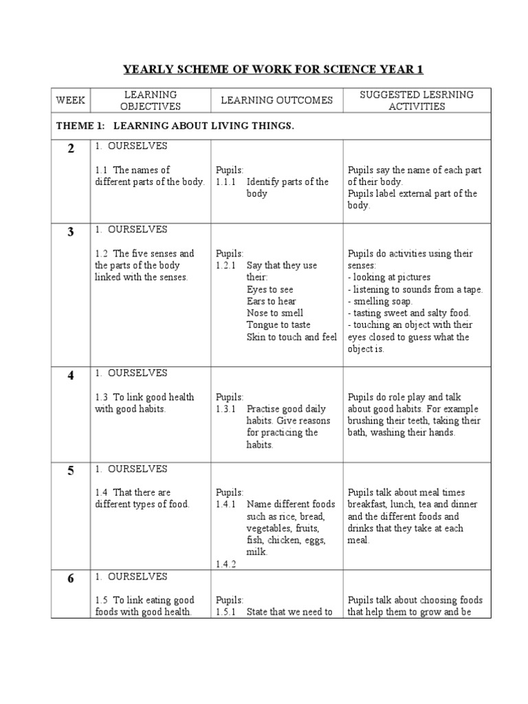 Year 1 Science Curriculum Plan | PDF | Taste | Senses