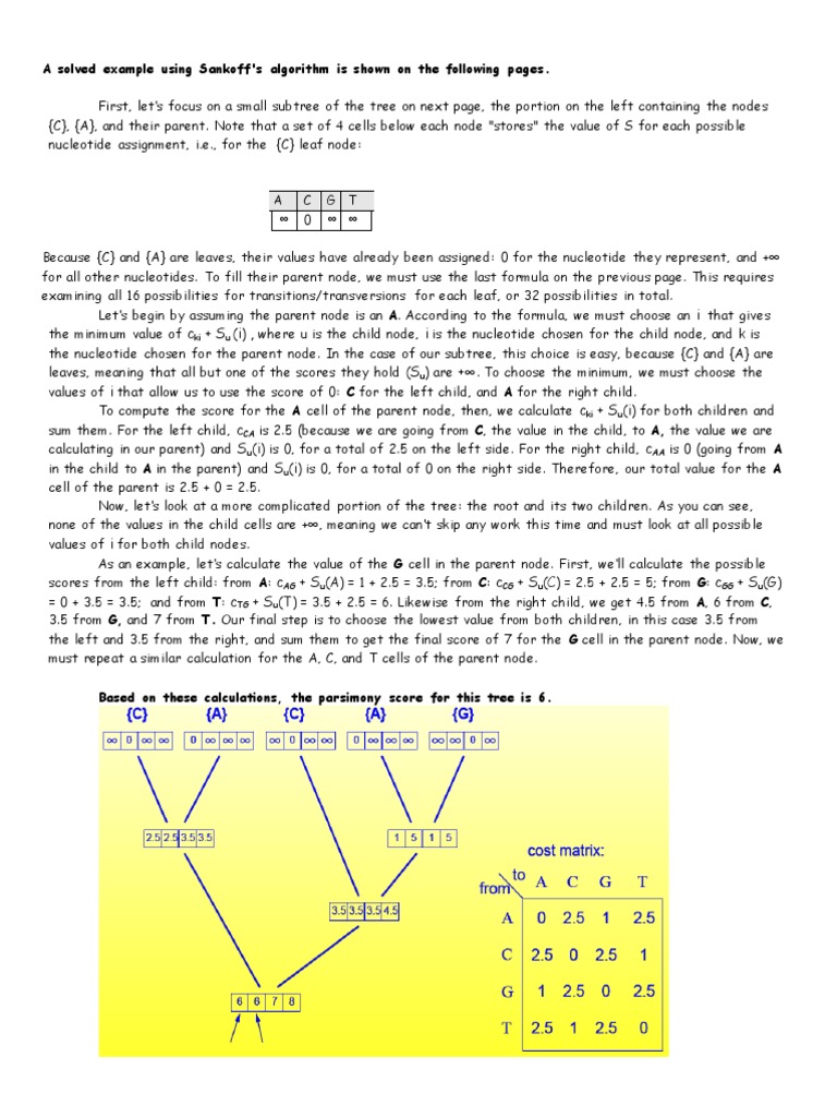 A Solved Example Using Sankoff S Algorithm Pdf Computer Programming Mathematical Concepts