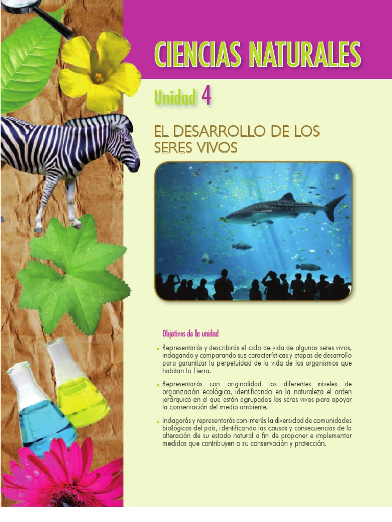 Ciclo de Vida y Conservación de Seres Vivos | PDF | Ecología | Organismos