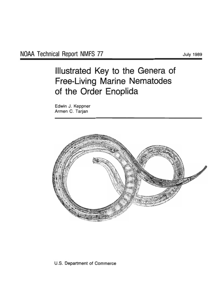 Illustrated Key To The Genera of Free-Living Marine Nematodes of The ...