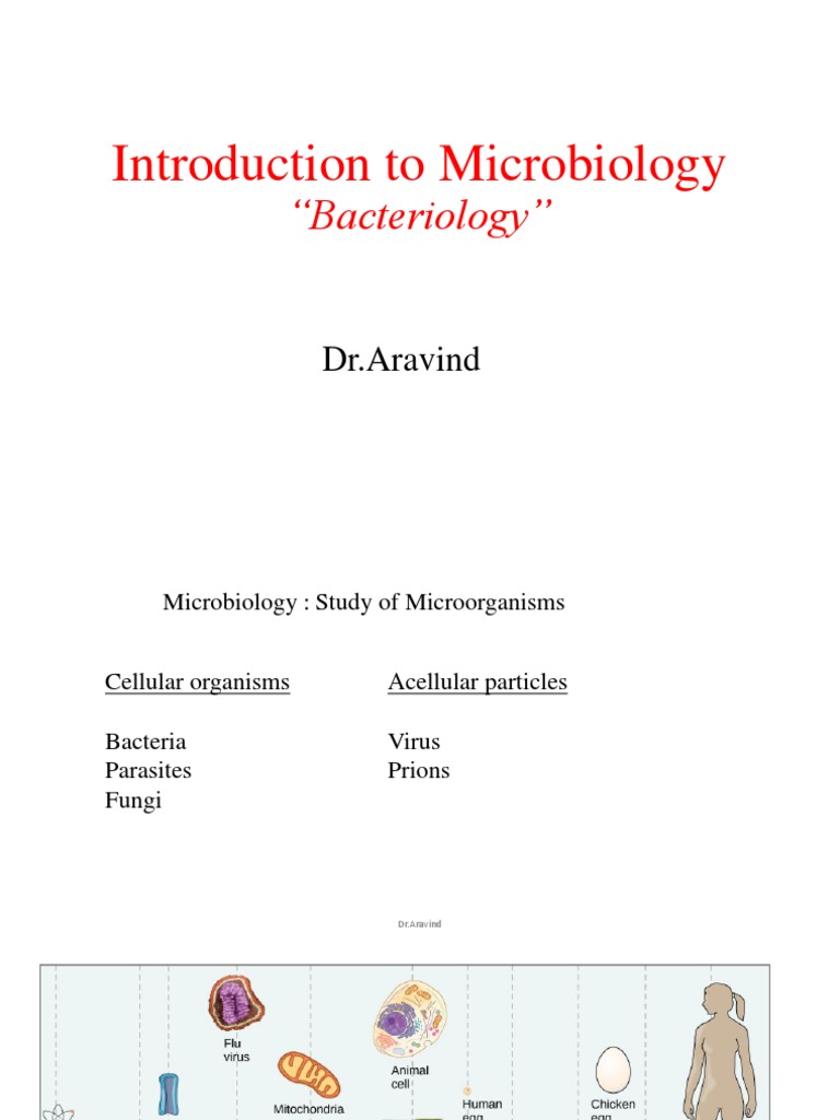 Introduction to Microbiology Basics | PDF | Archaea | Bacteria