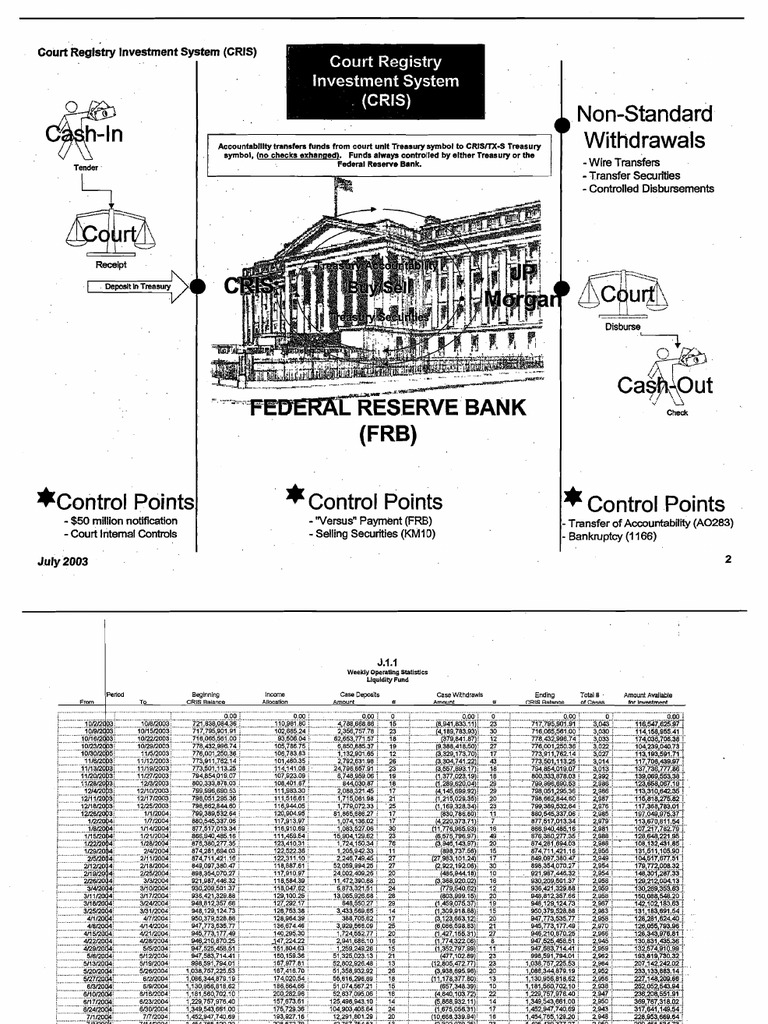 CRIS - Court Registry Investment System | PDF | Business