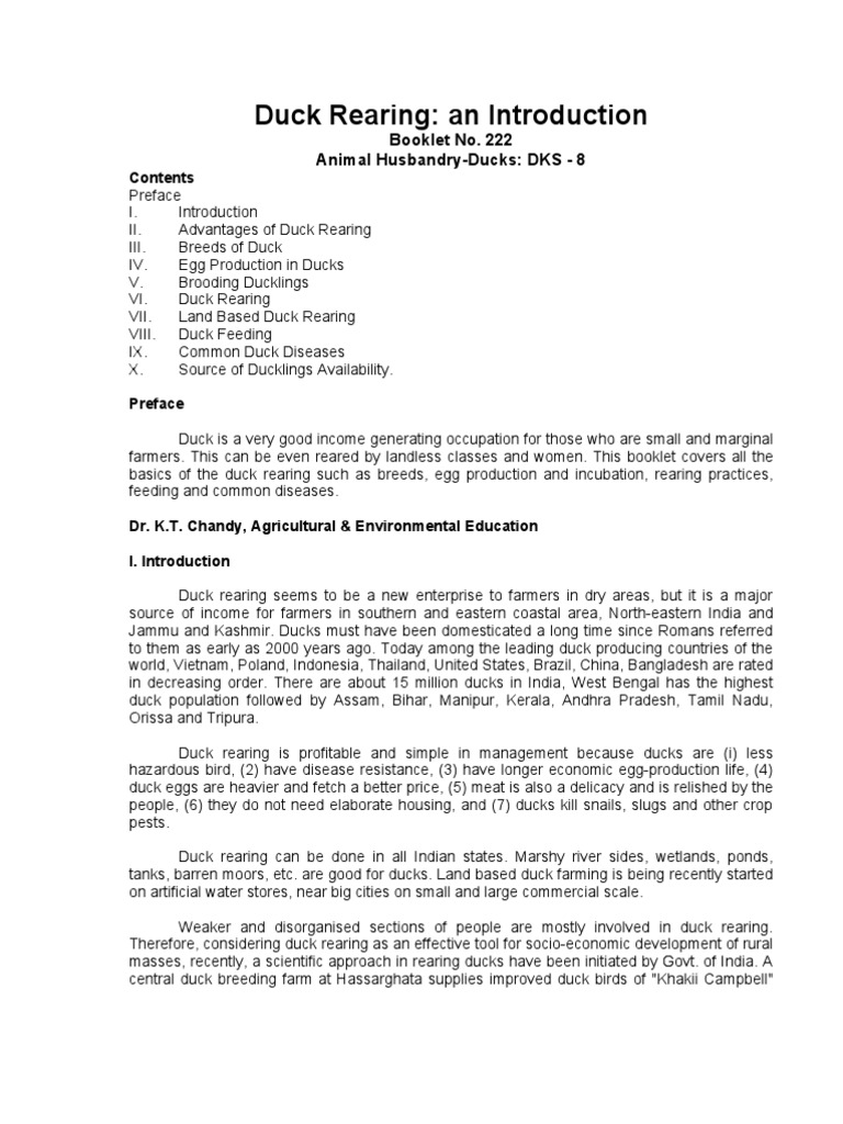 Duck Rearing Methods | PDF | Duck | Chicken