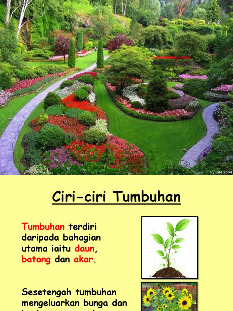 Ciri Ciri Tumbuhan | PDF