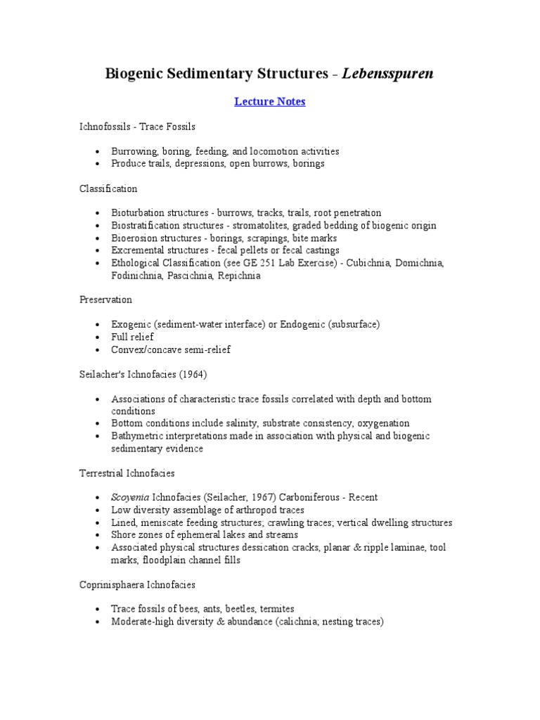 Classification and Interpretation of Biogenic Sedimentary Structures ...