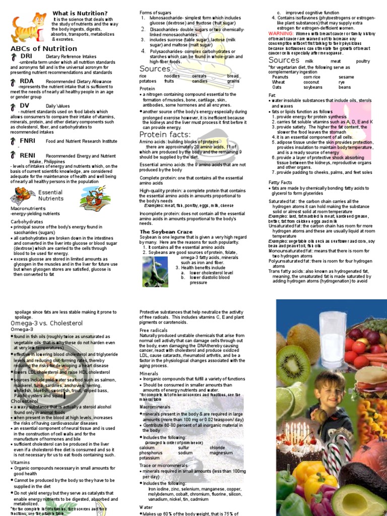 Nutrition and Wellness Handout | PDF | Fat | Carbohydrates