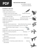Tree Identification Cards | PDF | Flora | Trees