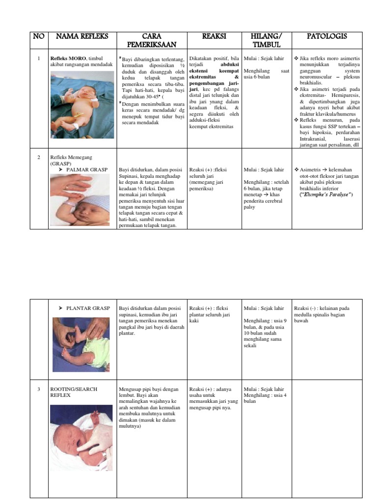 Refleks Primitif Aja! | PDF