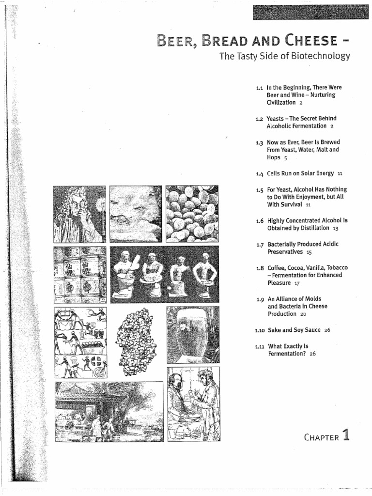 Biotechnology For Beginners Chapter 1 Reinhard Renneberg | PDF