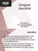 Halsted Principles | PDF